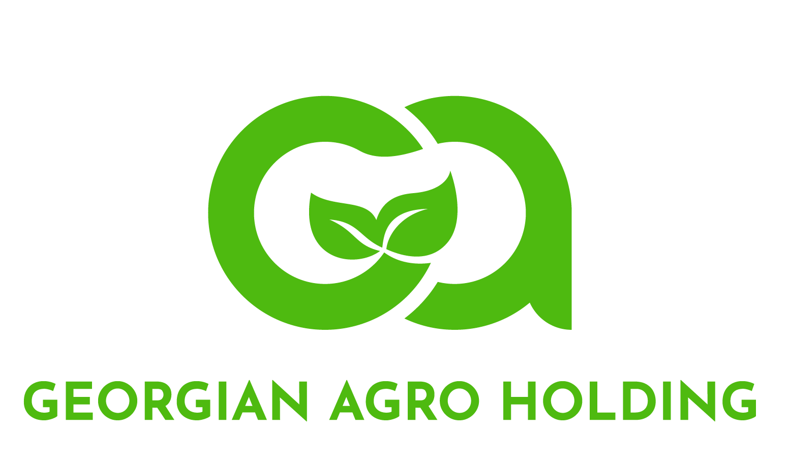 საქართველოს აგრო ჰოლდინგი